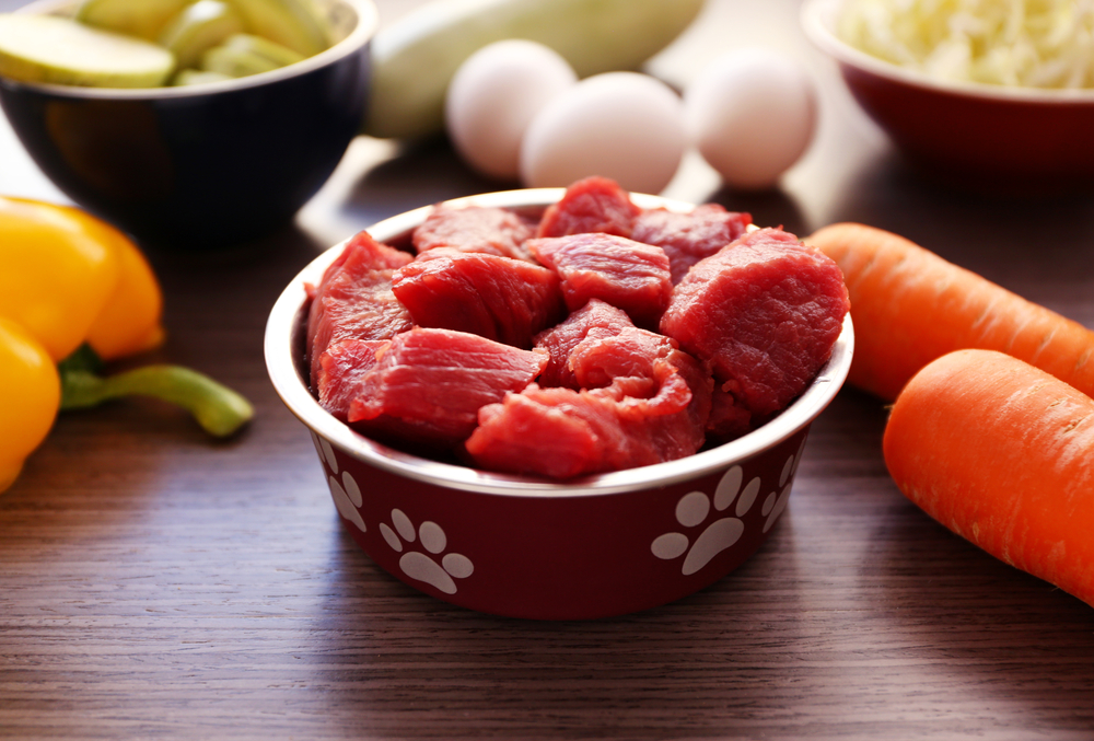 Highly Recommend Brands Of Raw Dog Food In Singapore 2018 Edition Highly Recommend Brands Of Raw Dog Food In Singapore 2018 Edition