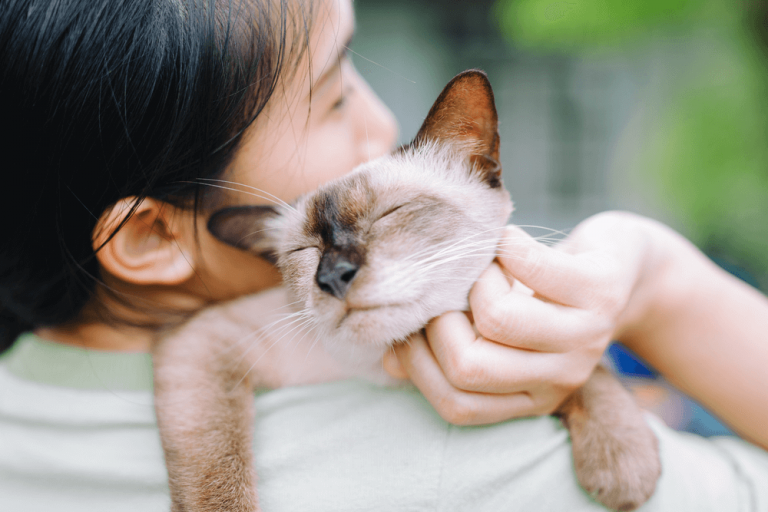 List Of HDB Approved Dogs In Singapore - Puppy Singapore