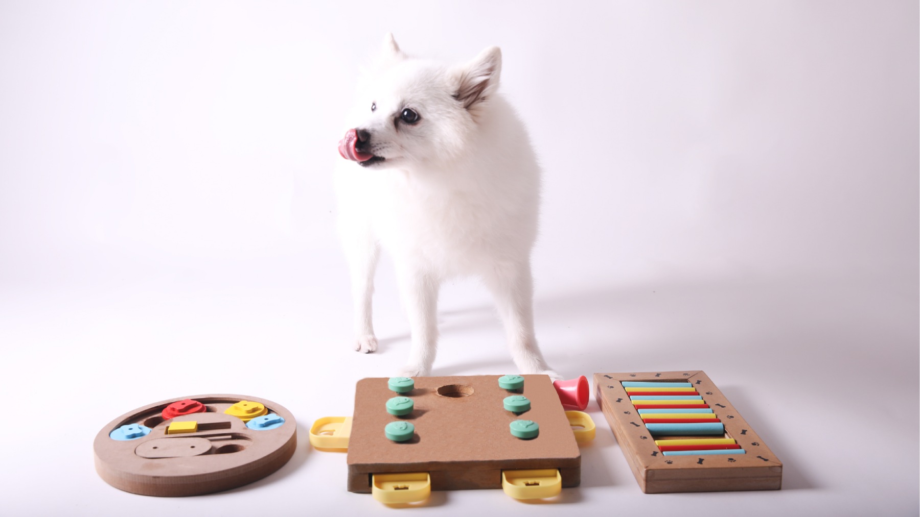Fun New Puppy Games to Play: Engaging Activities for Your New Pup and ...
